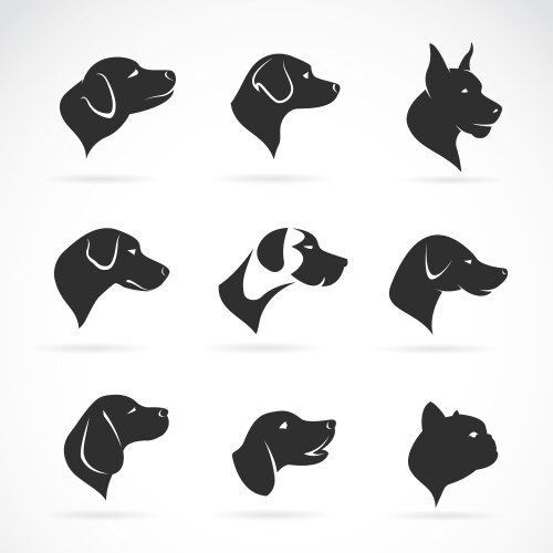 Dog Head Vector Images (over 62,000)
