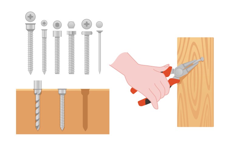 Collection of different types screw isolated Vector Image