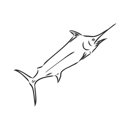 Hand drawn swordfish in sketch style – Royalty-Free Vector | VectorStock