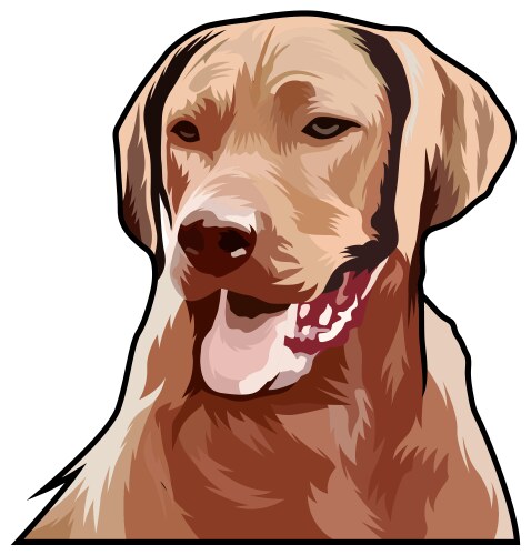 Yellow and black young labrador Royalty Free Vector Image