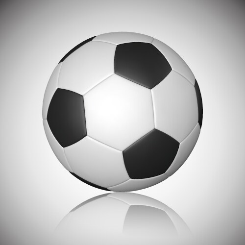 Football ball soccer mockup with reflection Vector Image