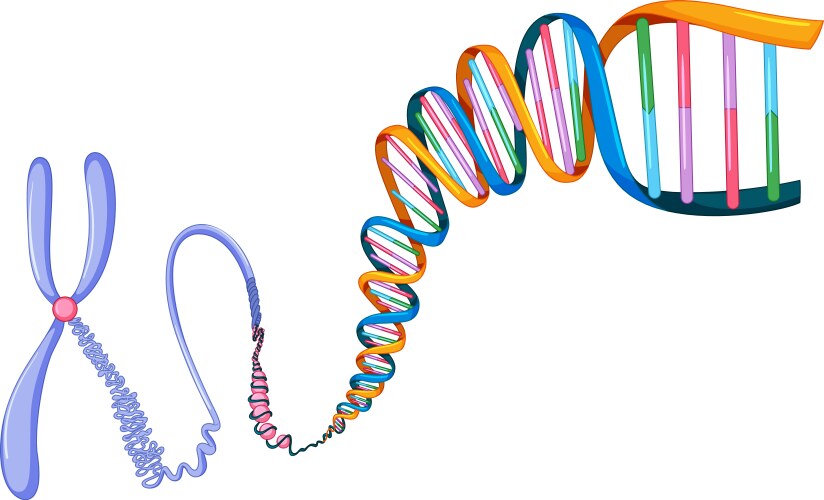 Dna Symbol Vector Images (over 61,000)