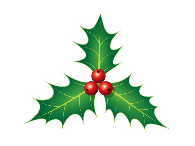 Holly Royalty Free Vector Image - VectorStock