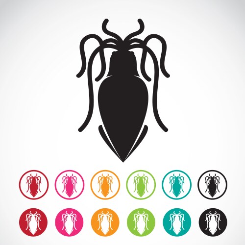 Squid Vector Images (over 17,000)