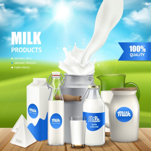 Milk dairy products infographic layout poster Vector Image