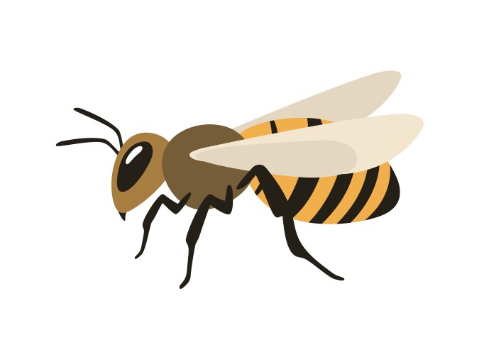 Bee Side View Vector Images (over 110)