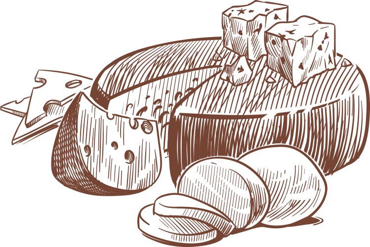 Plate cheese color sketch engraving Royalty Free Vector