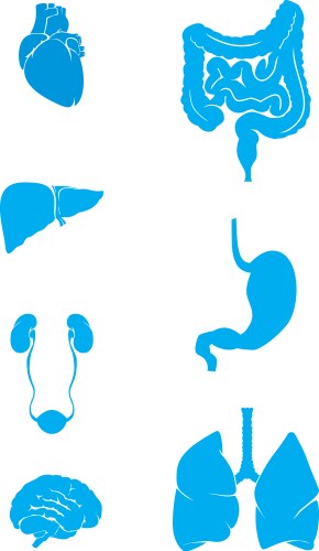 Internal Vector Images (over 550,000)