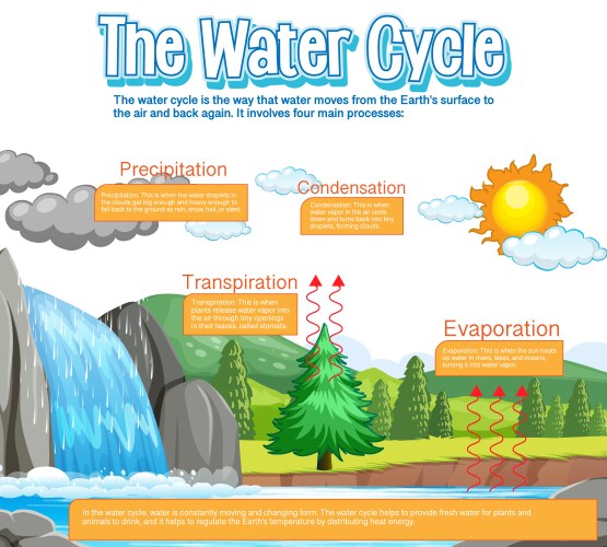 Water cycle of evaporation condensation Royalty Free Vector