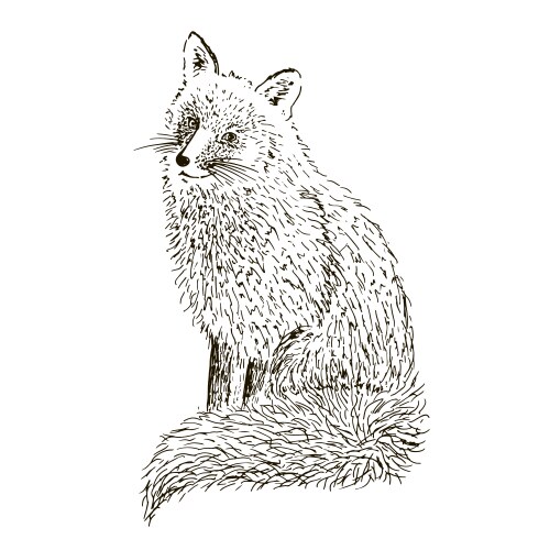 Fox Line Drawing Vector Images (over 6,100)