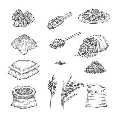 Rice Sack Drawing Vector Images (over 690)
