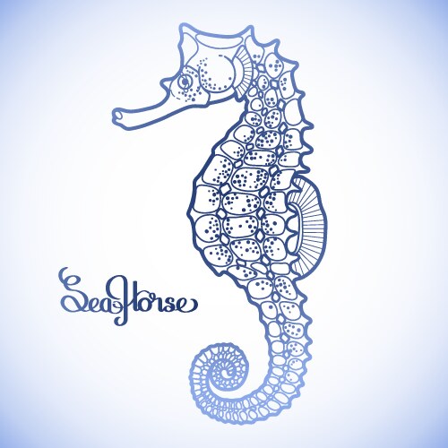 Seahorse Vector Images (over 11,000)