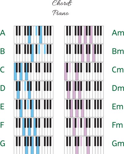 Piano chords or key notes chart on white Vector Image