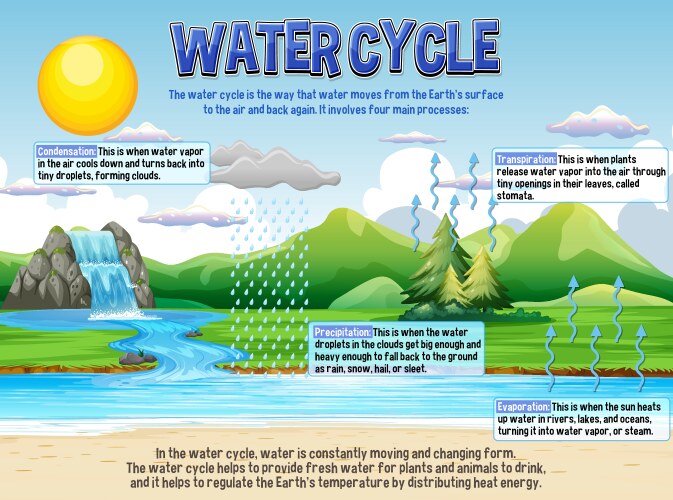 Science of water cycle Royalty Free Vector Image