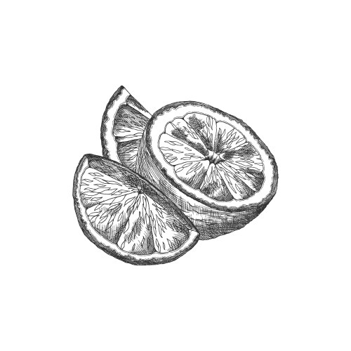 Black and White Lemon Vector Images (over 41,000)