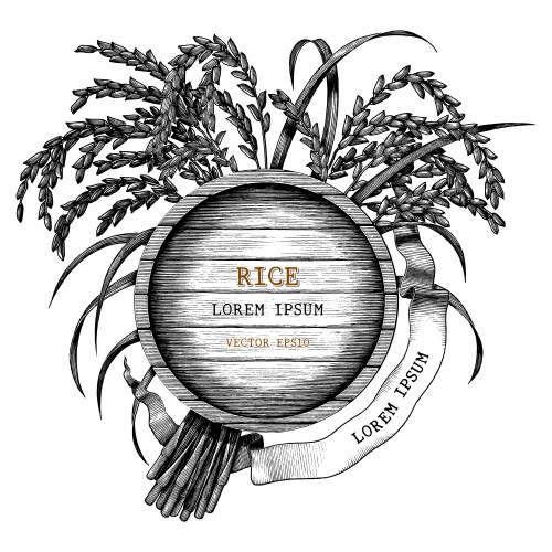Rice Vector Images & Graphics for Commercial Use | VectorStock