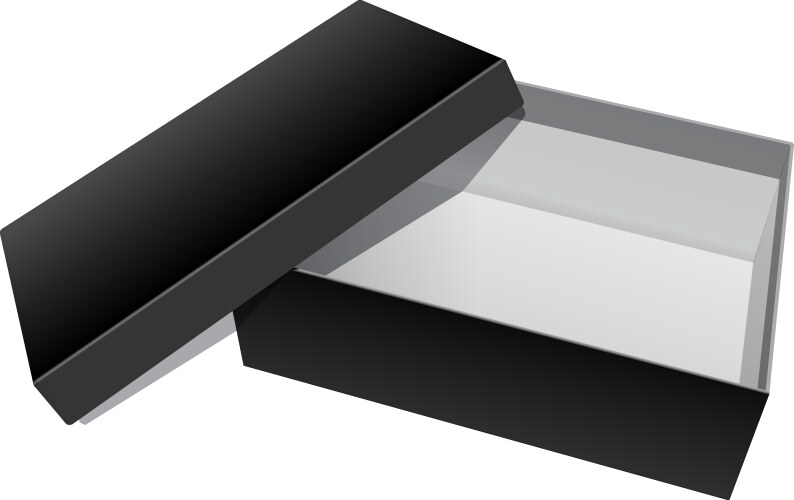 Paper cardboard box template open brown empty Vector Image