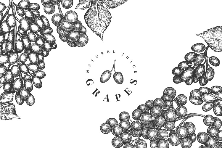 Grape design template hand drawn berry Royalty Free Vector