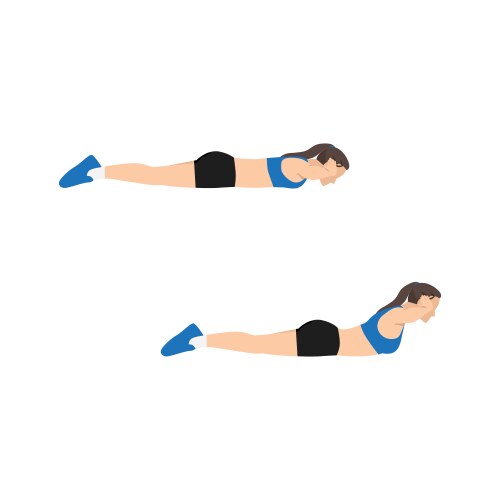 Back Exercise Vector Images (over 8,300)