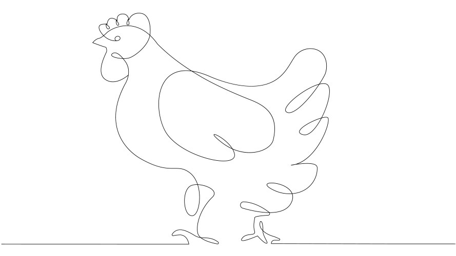Hen Shape Outline Vector Images (over 620)