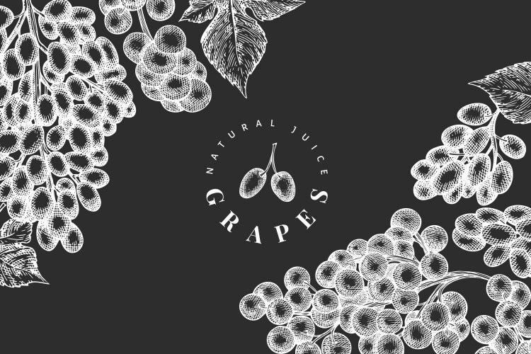 Grape design template hand drawn berry Royalty Free Vector