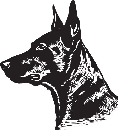 Australian kelpie - minimalist and simple Vector Image