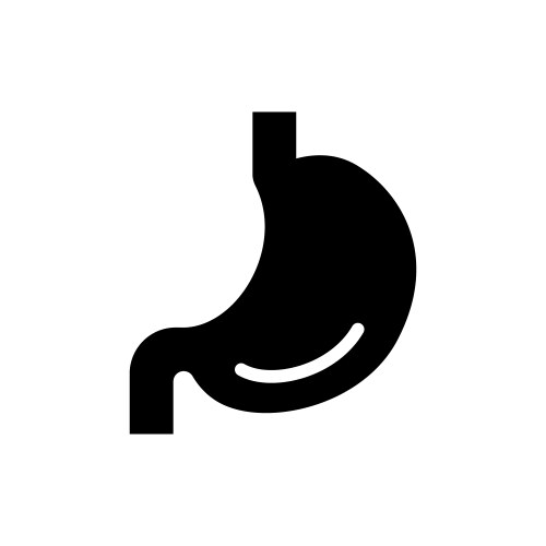 Stomach icon isolated on white background Vector Image