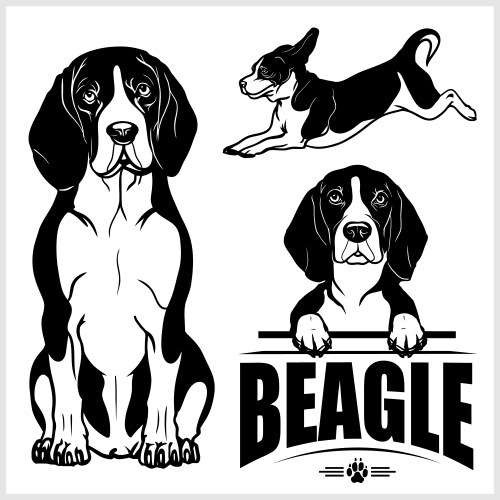 Beagle Vector Images (over 7,900)