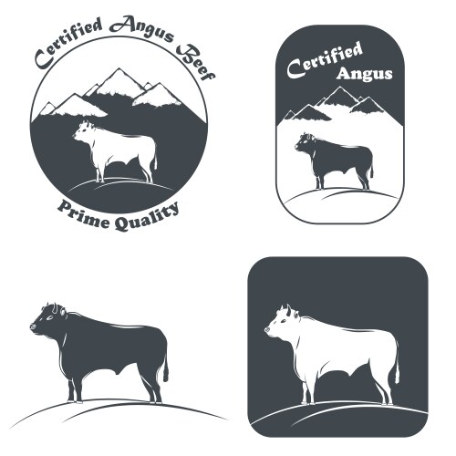 Angus Black Bull Vector Images (over 1,300)