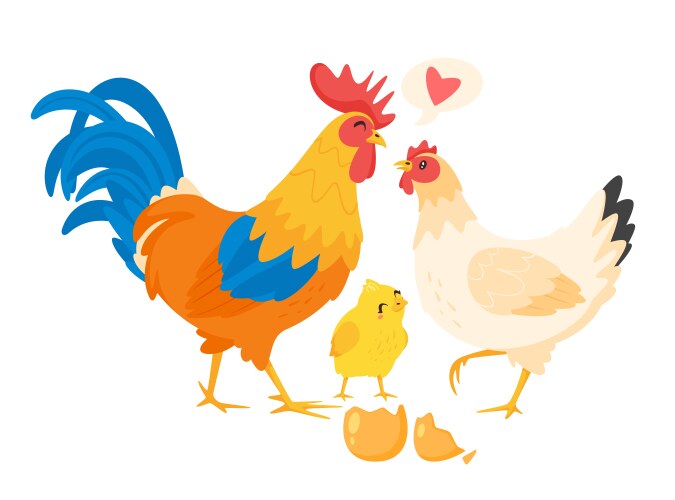 Chicken family Royalty Free Vector Image - VectorStock