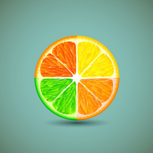 Citrus Logo Vector Images (over 13,000)