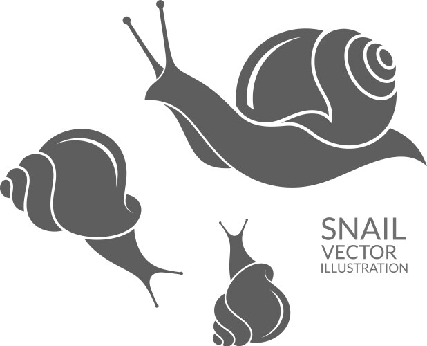 Snail Vector Images (over 43,000)