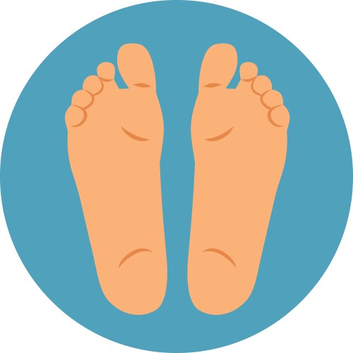 Left and Right Foots Vector Images (over 240)