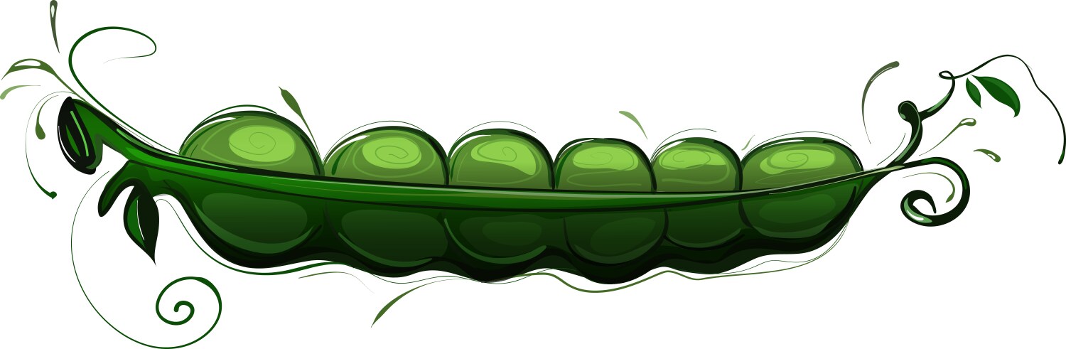 Green peas in a pod Royalty Free Vector Image - VectorStock