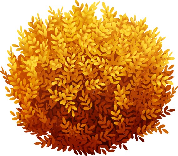 An isolated flower bush Royalty Free Vector Image