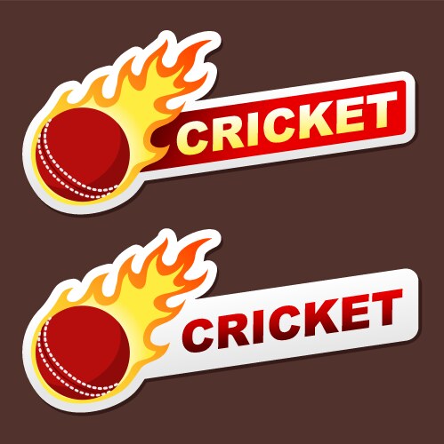 Cricket ball Royalty Free Vector Image - VectorStock
