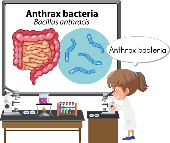 Bacteria Drawing Vector Images Over 7 600