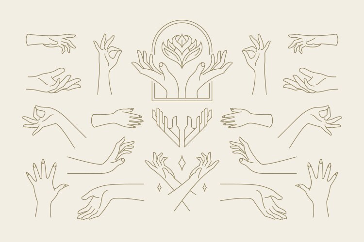 Female hands line outline elegant woman hand Vector Image