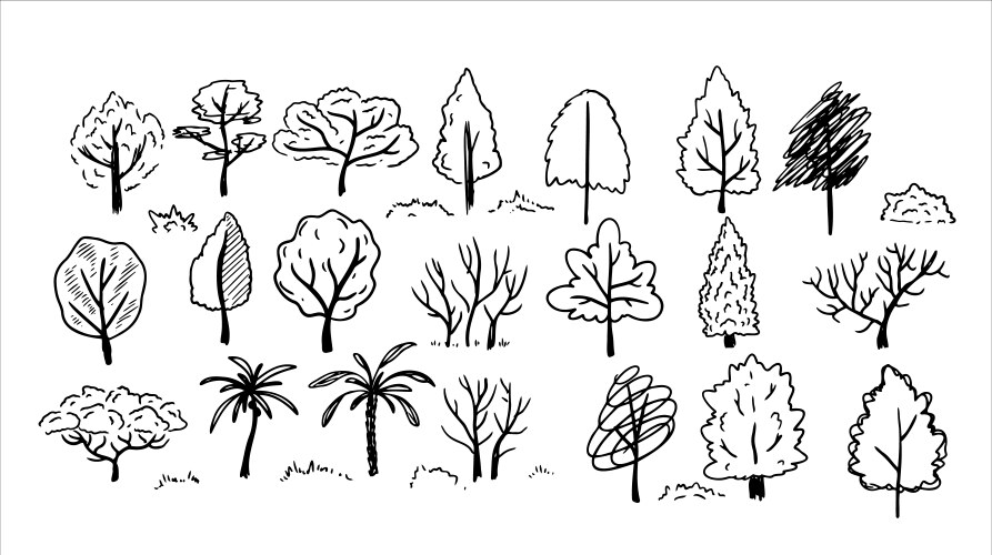 Tree drawing set doodle contour oak Royalty Free Vector