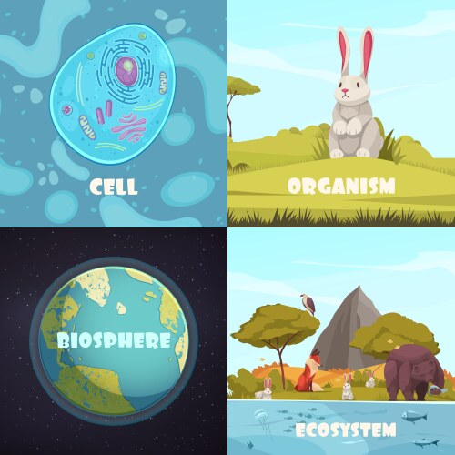 Biological hierarchy cartoon set Royalty Free Vector Image Biological hierarchy cartoon set Royalty Free Vector Image
