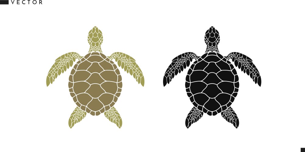 Green Sea Turtle Vector Images (over 4,700)
