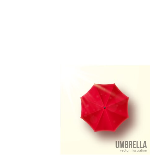 Umbrella Top View Parasol Vector Images (over 1,200)