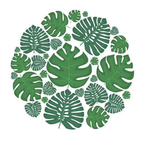 Palm green leaves Royalty Free Vector Image - VectorStock
