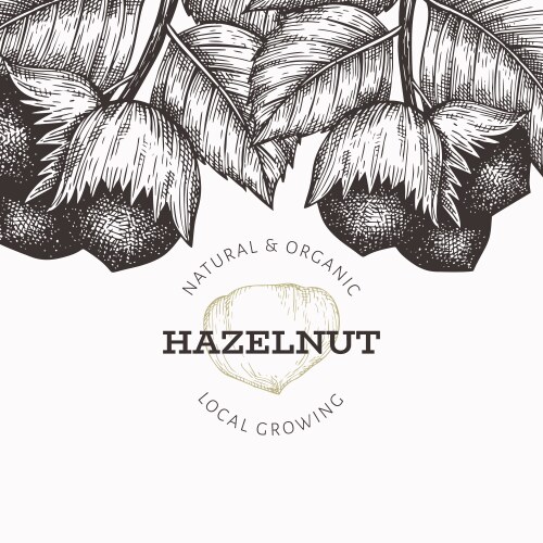 Hand drawn sketch hazelnut design template Vector Image