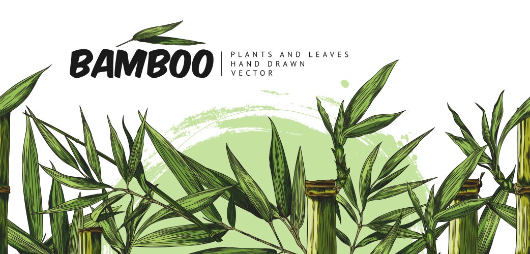Bamboo Watercolor Vector Images (over 910)