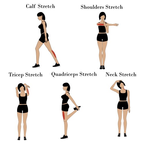 Body Stretch Vector Images (over 24,000)