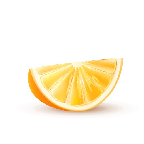 Realistic orange slice Royalty Free Vector Image