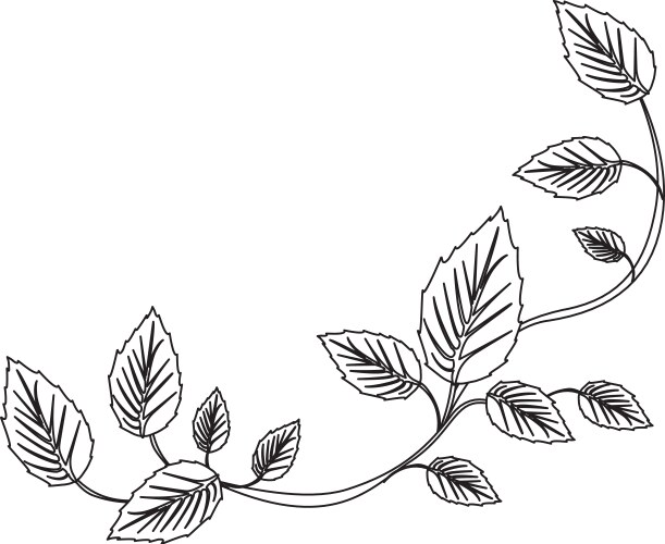 Climbing Plant Vector Images (over 3,600)