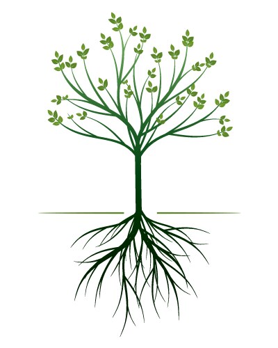 Aunasin tree flower plants hand drawing botanical Vector Image