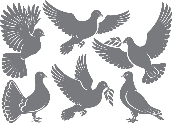 Dove Vector Images (over 59,000)